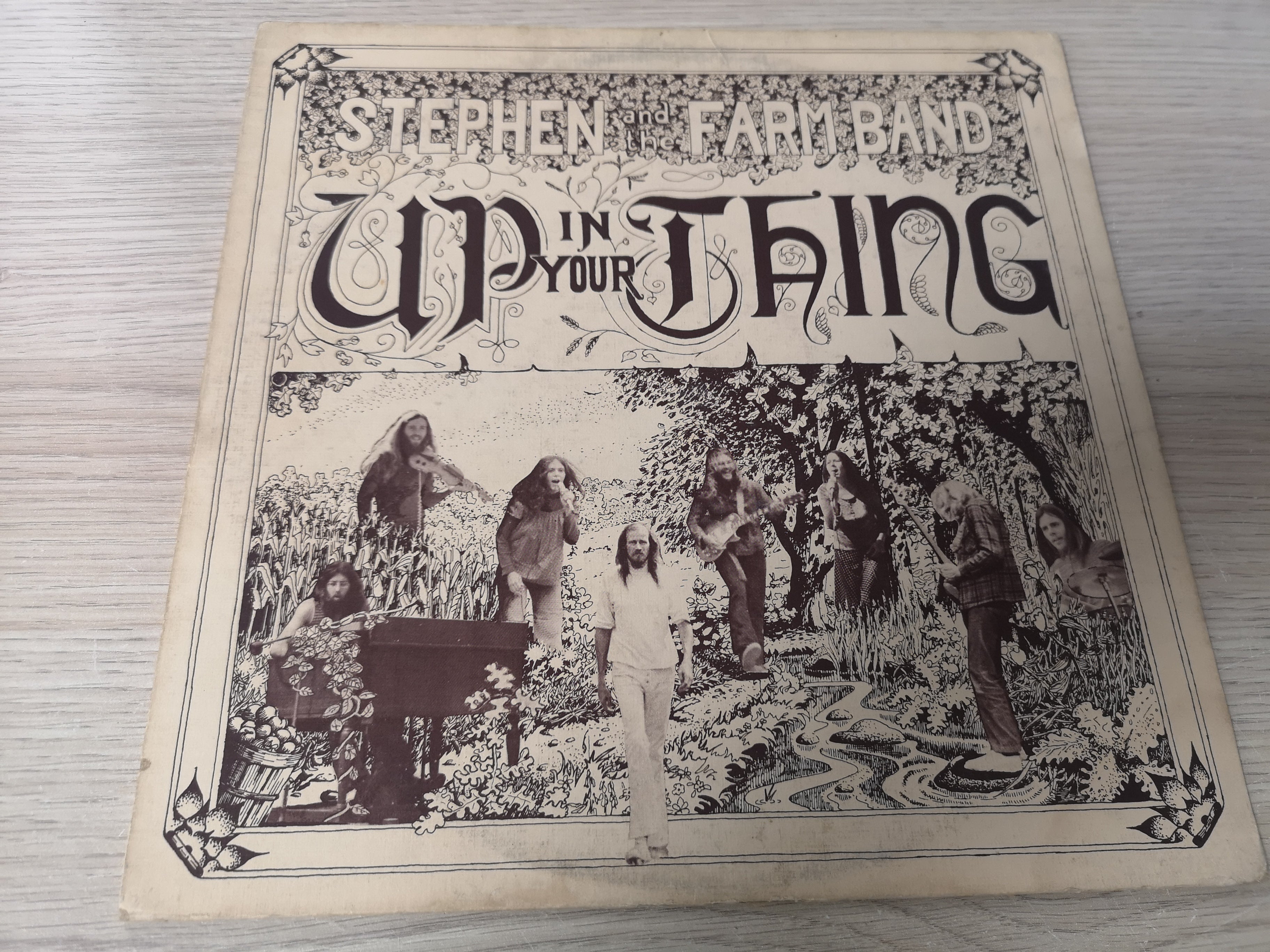 Stephen & Farm Band "Up in Your Thing" Orig US 1973 VG/EX – bassin-maquette