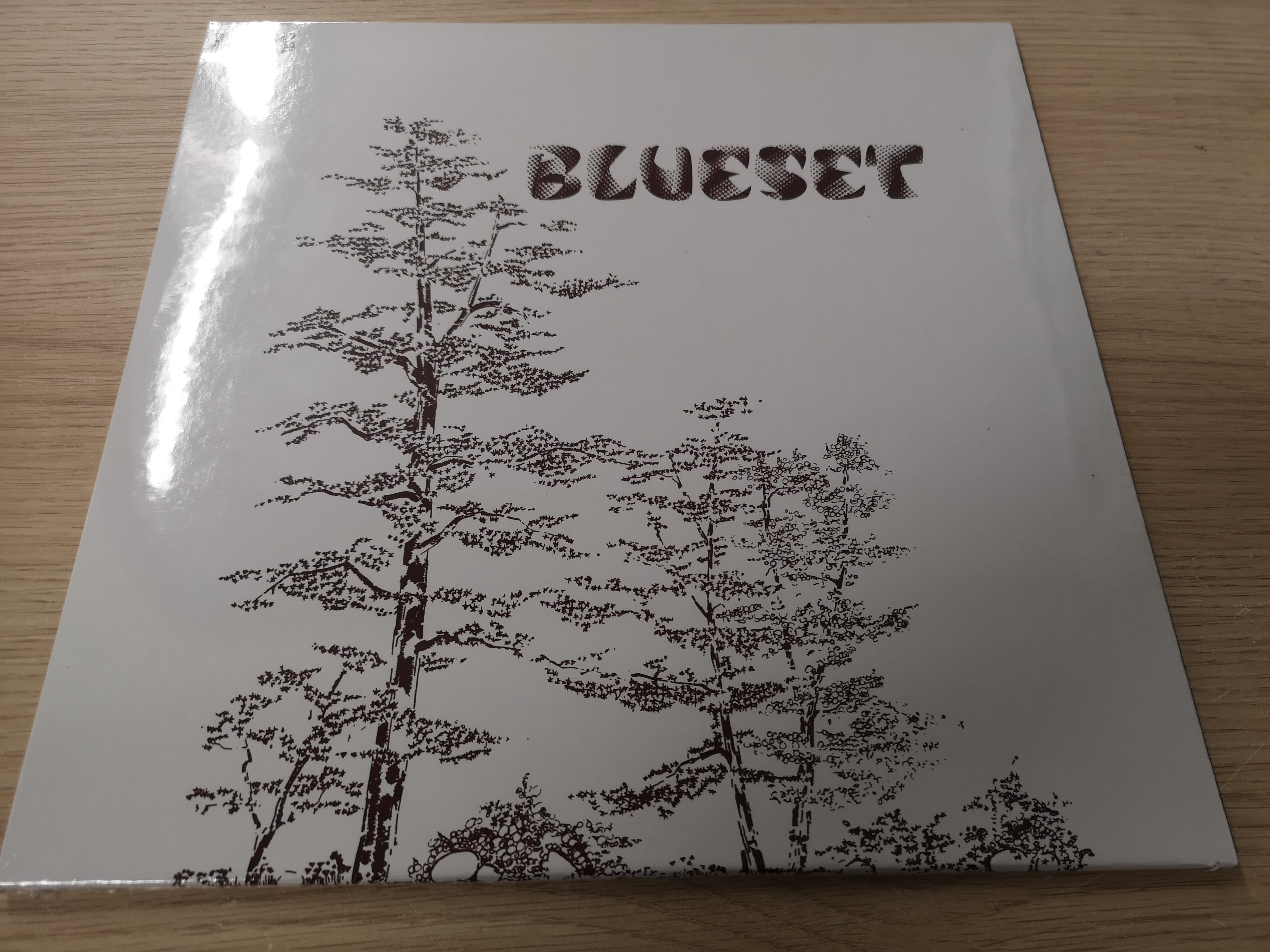 Blueset "Rock Machine" Re Shadok Sealed Swedish Acid Rock – bassin-maquette